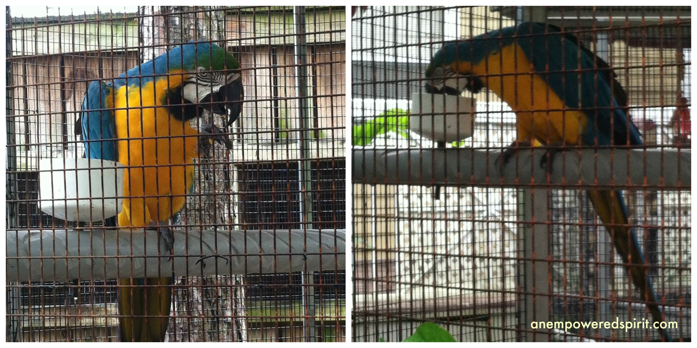 Our Trip To A Beautiful Sanctuary That Rescues, Protects And Preserves ...