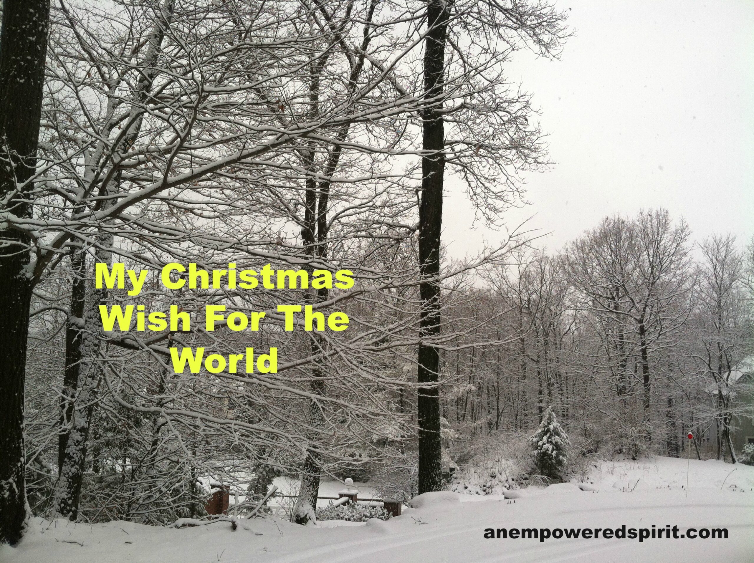 My Christmas Wish For The World | An Empowered Spirit | A Life with ...