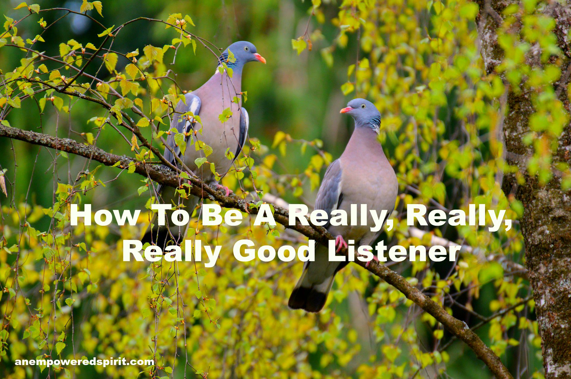 How To Be A Really, Really, Really Good Listener | An Empowered Spirit ...