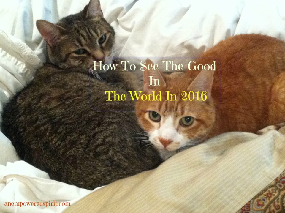 How To See The Good In The World In 2016 | An Empowered Spirit